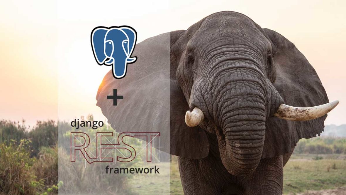 How To Build Api With Django Rest Framework And Postgresql Sourcery 3148